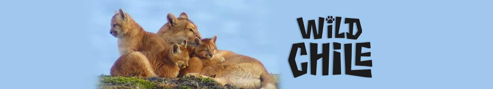 Un viaje por tierra salvaje - Chilevisión