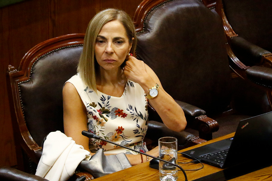 Isabel Plá renunció al Ministerio de la Mujer y la Equidad de Género ...