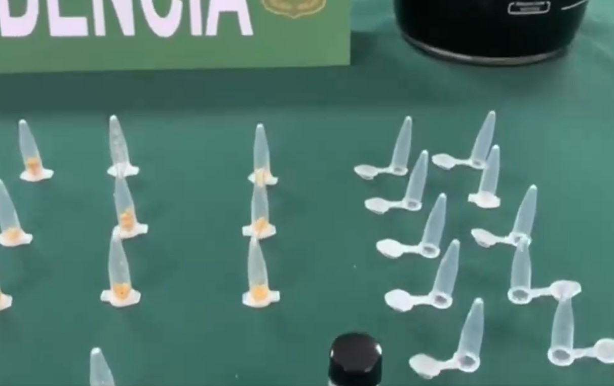 OS7 detuvo a productor de DMT, conocida como "la droga de los dioses ...