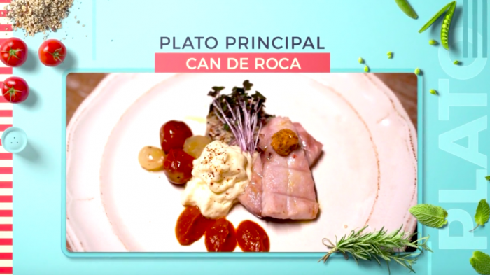 "Can de roca" de Carolina Erazo - Chilevisión