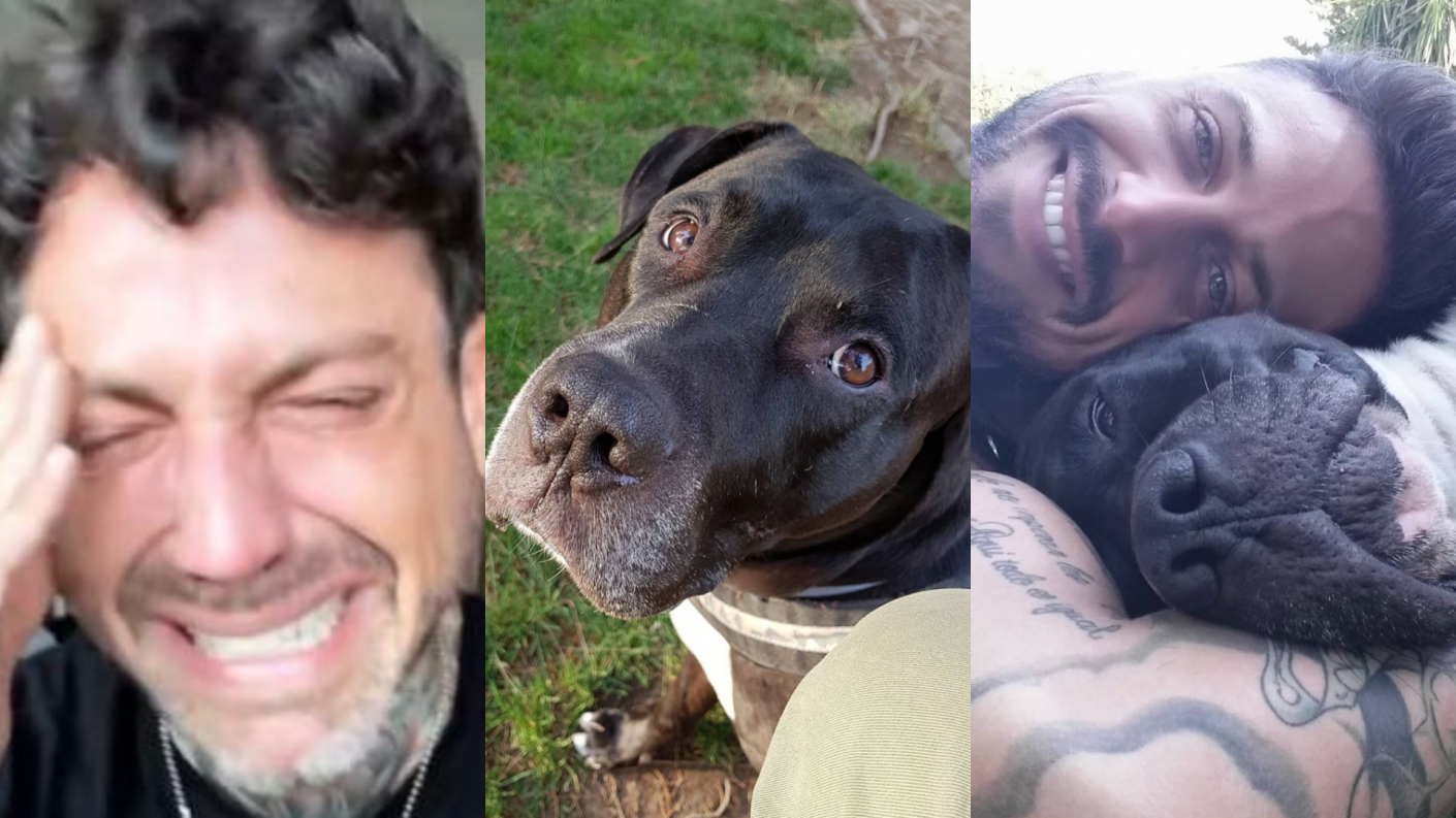 "Era mi vida, mi alma": Pascual Fernández anunció entre lágrimas la ...