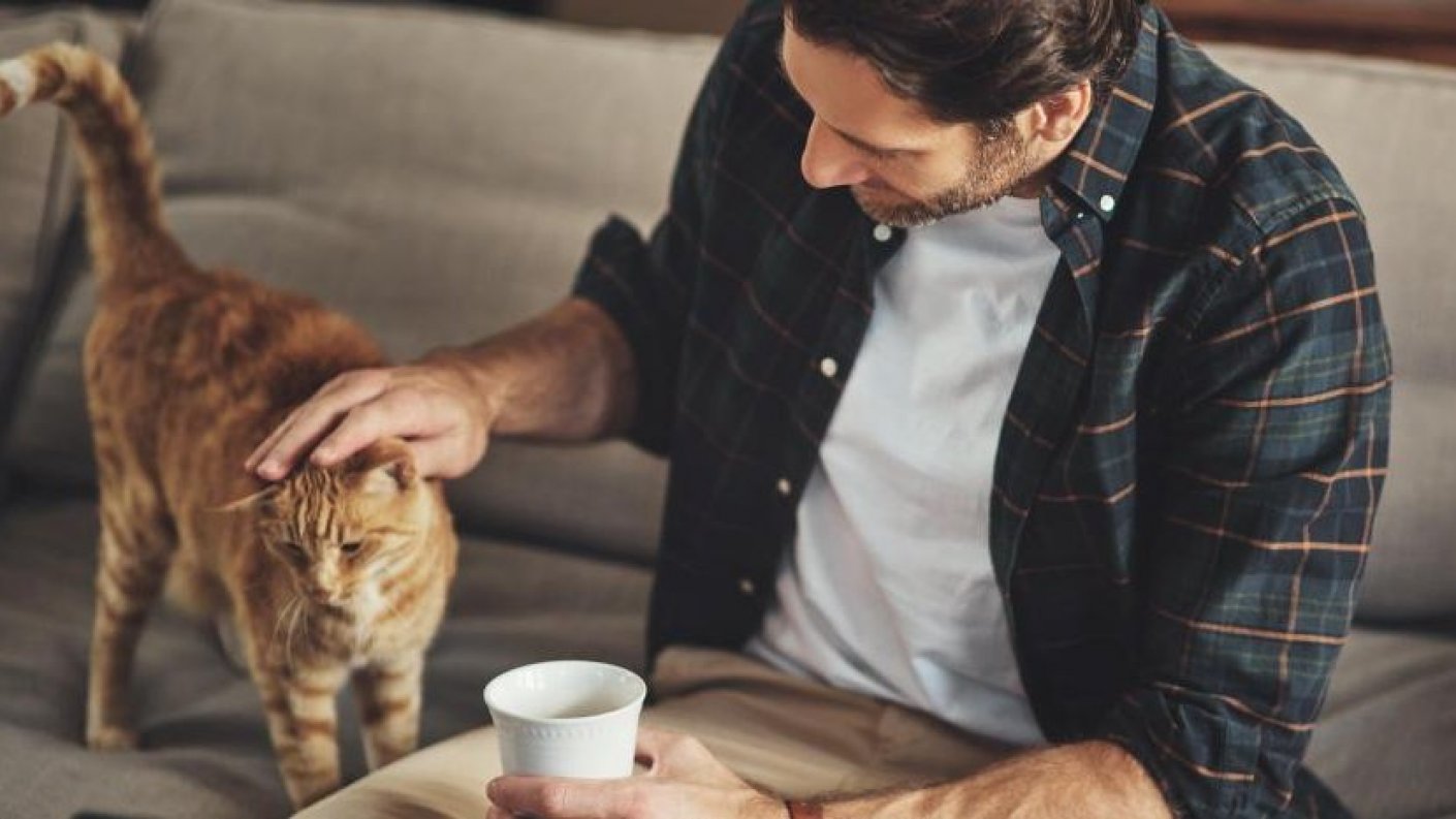 ¿Forever alone? Todo lo que debes saber para el día del soltero ...