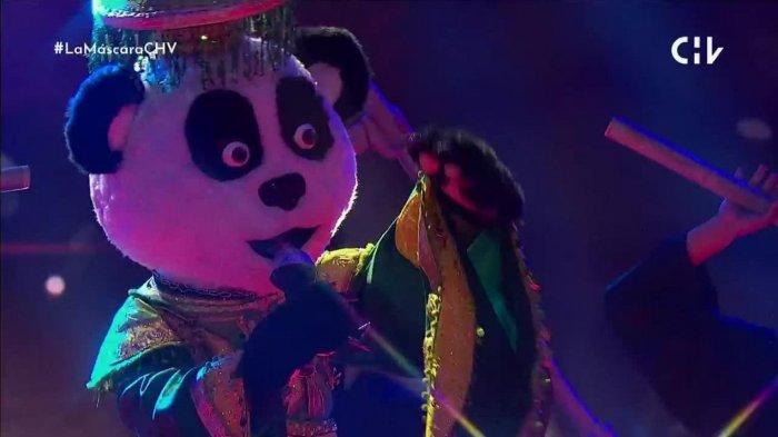 Qué maravilloso show!”: Panda encantó a los investigadores - Chilevisión
