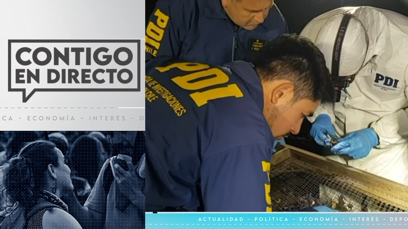 Macabro crimen: Encuentran el cuerpo de un hombre descuartizado y calcinado en Concepción ...