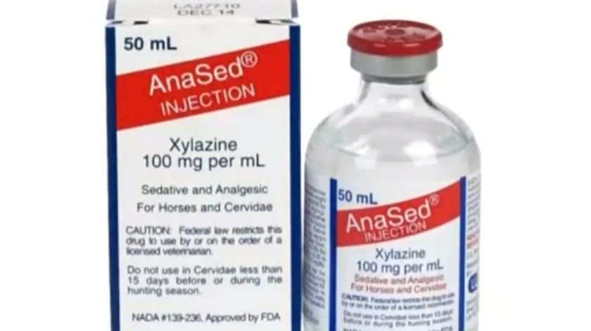 ¿Qué es el Tranq? La nueva y devastadora "droga zombi" que acompaña al ...