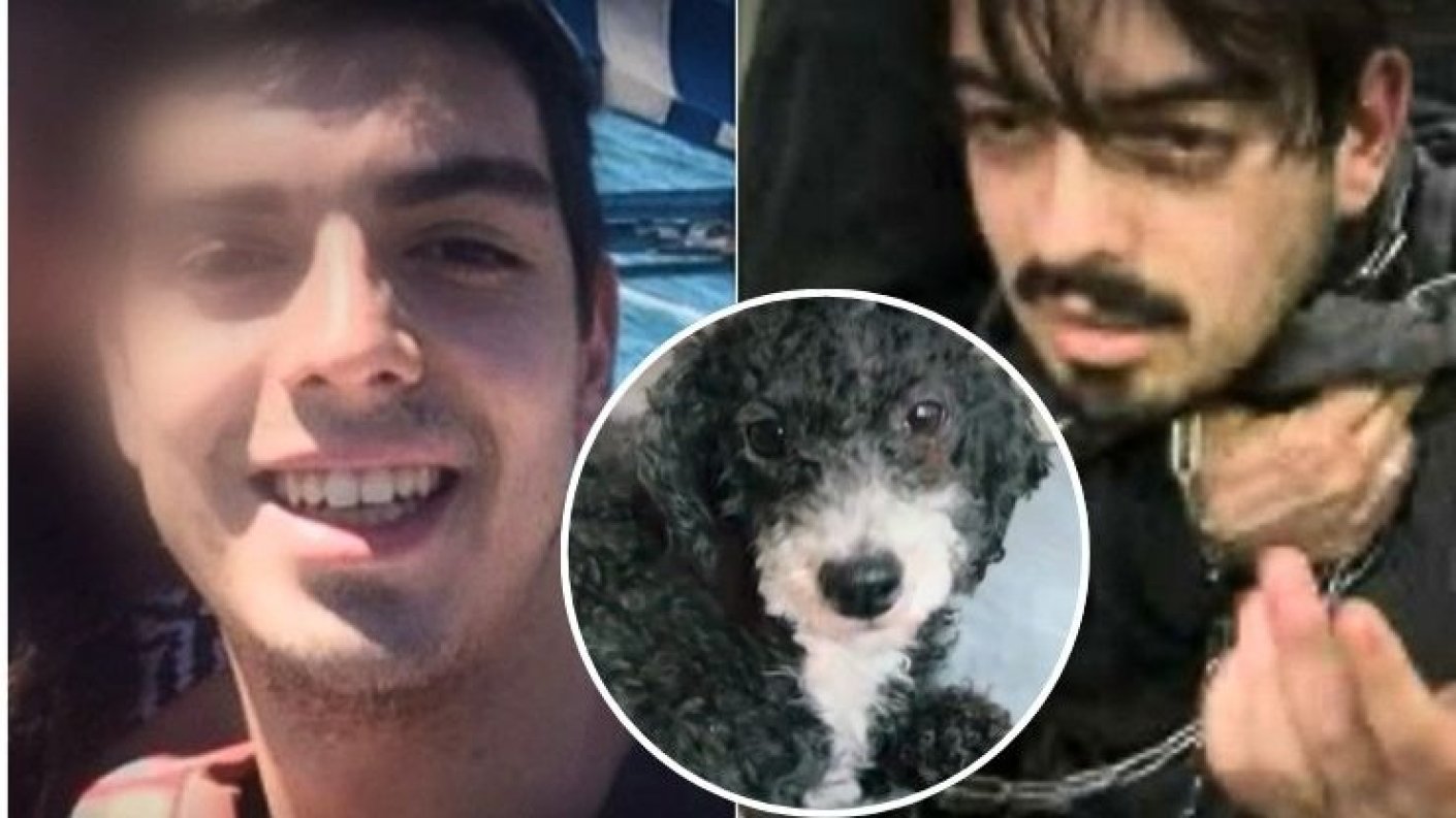 Justicia para Lalito: Sigue prófugo el hombre acusado de lanzar perrito ...