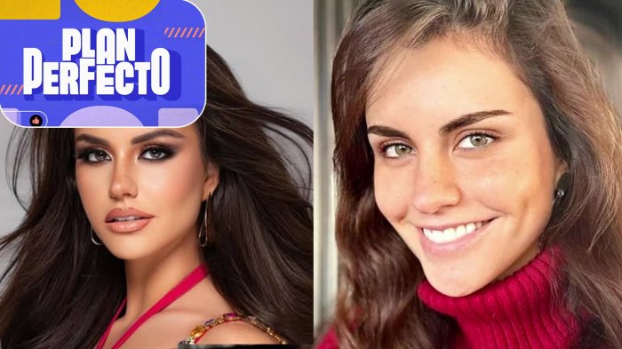 Plan Perfecto - Chilevisión